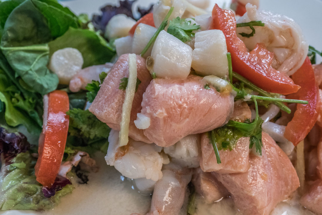 asian-ceviche-5472x3648 - I May Roam