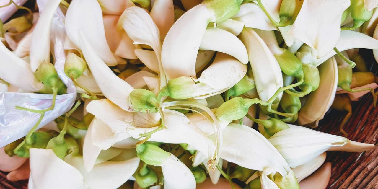 Khmer Ingredients That Will Make You Love Cambodian Cuisine